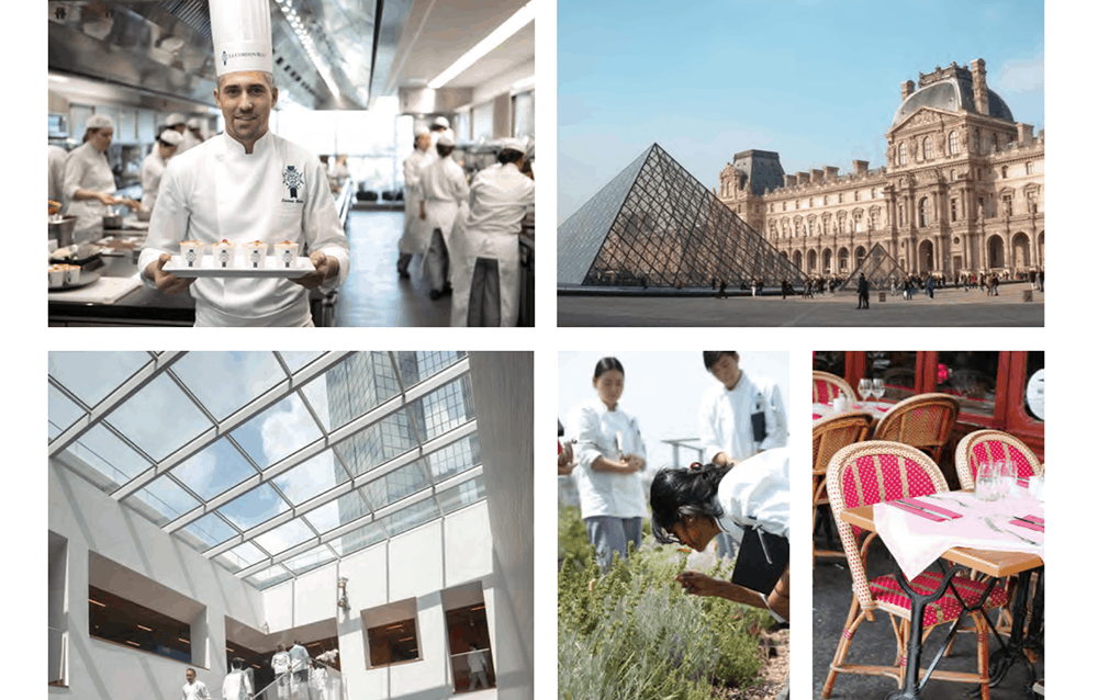 Кулинарная школа Le Cordon Bleu Paris: программы Бакалавриата